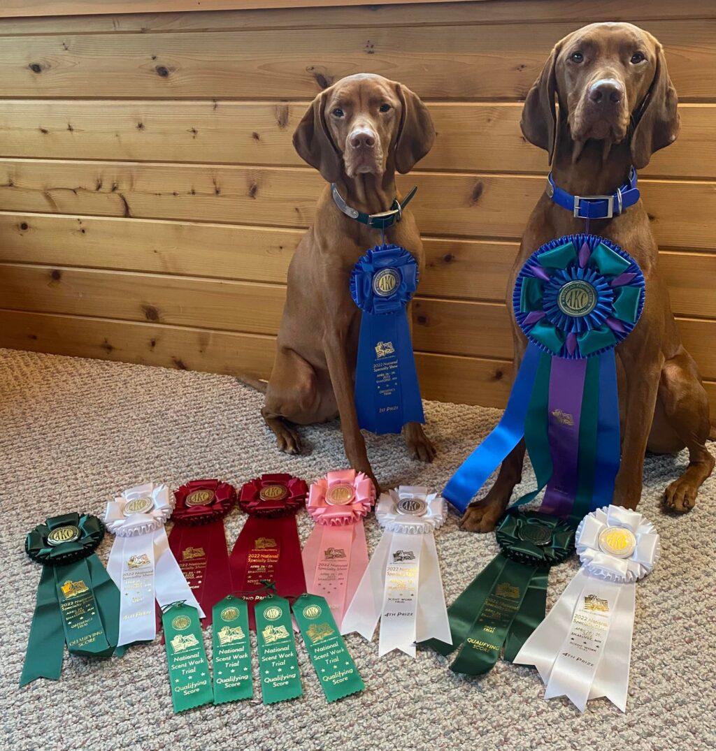 TCVC Awards • Twin Cities Vizsla Club