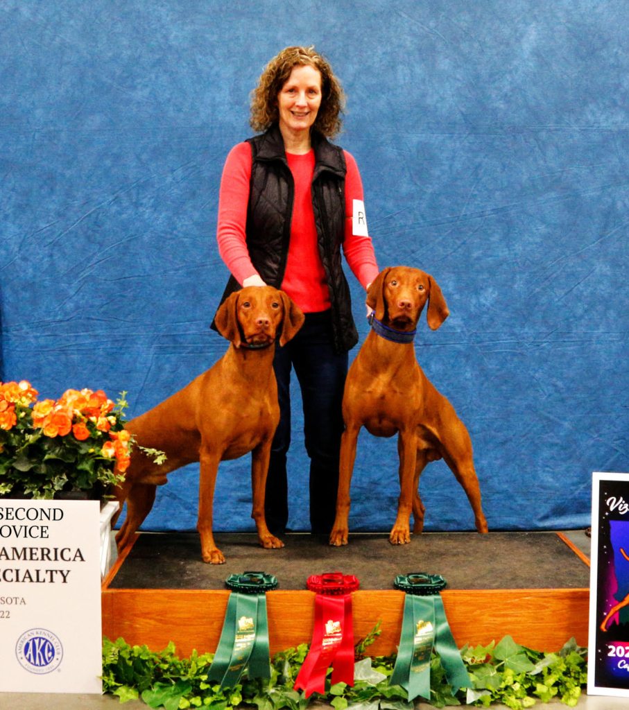 About Us • Twin Cities Vizsla Club